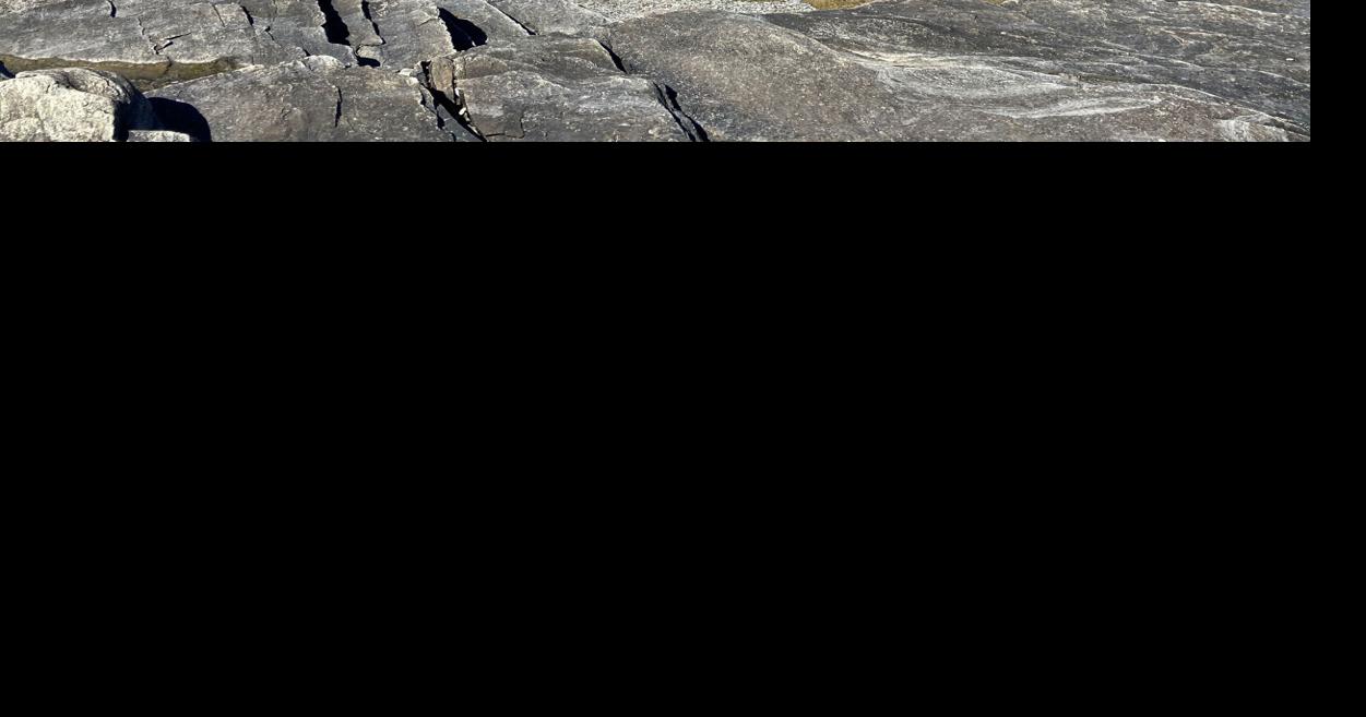 Thompson Island picnic area | Opinion | ellsworthamerican.com