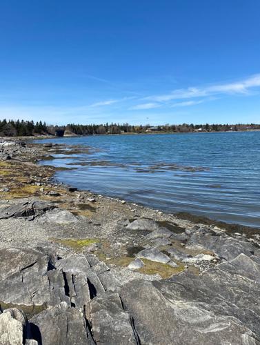 Thompson Island picnic area | Opinion | ellsworthamerican.com