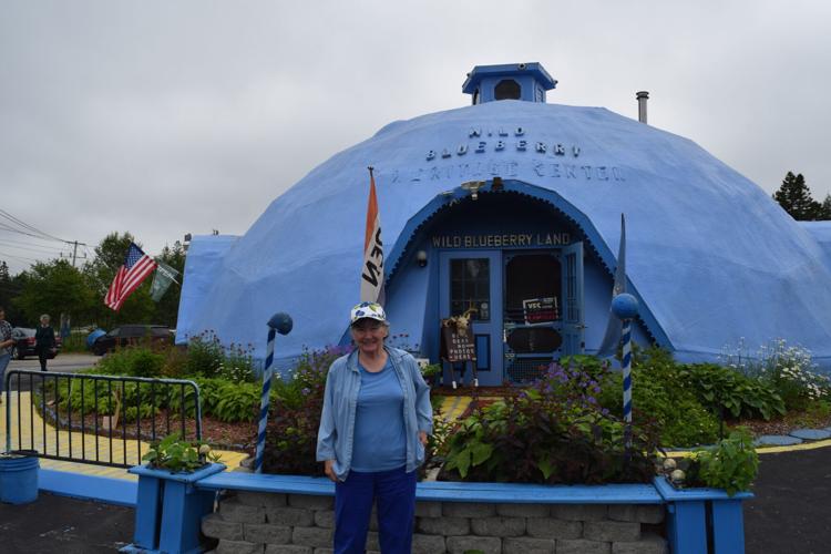 Berry blue: Wild Blueberry Heritage Center aims to educate visitors ...