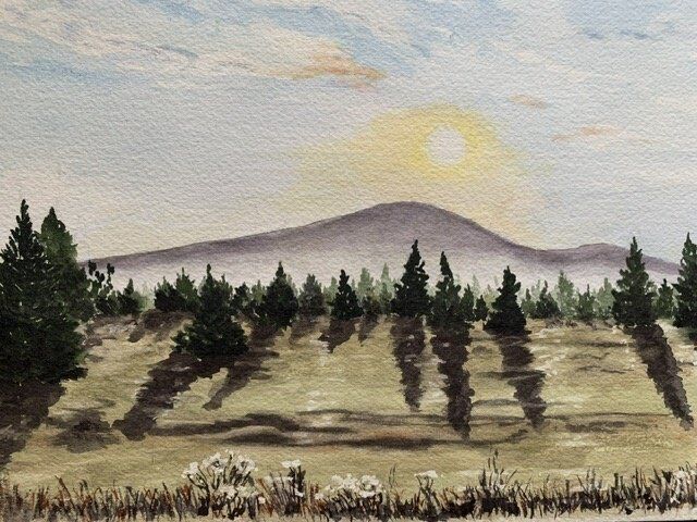 Paint the Peninsula: Blue Hill Library's annual artwork fundraiser runs ...