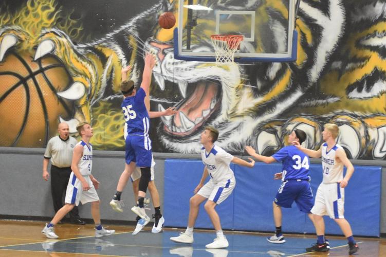 DI-S girls, Sumner boys earn wins in basketball doubleheader ...
