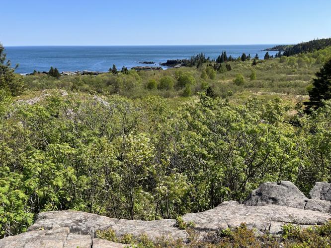On the rocks: Bog Brook Preserve offers an easier way to enjoy the Bold ...