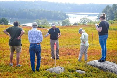 Salt Pond land to be preserved | News | ellsworthamerican.com
