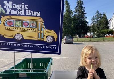 Magic Food Bus volunteers delivering fresh produce again this summer ...