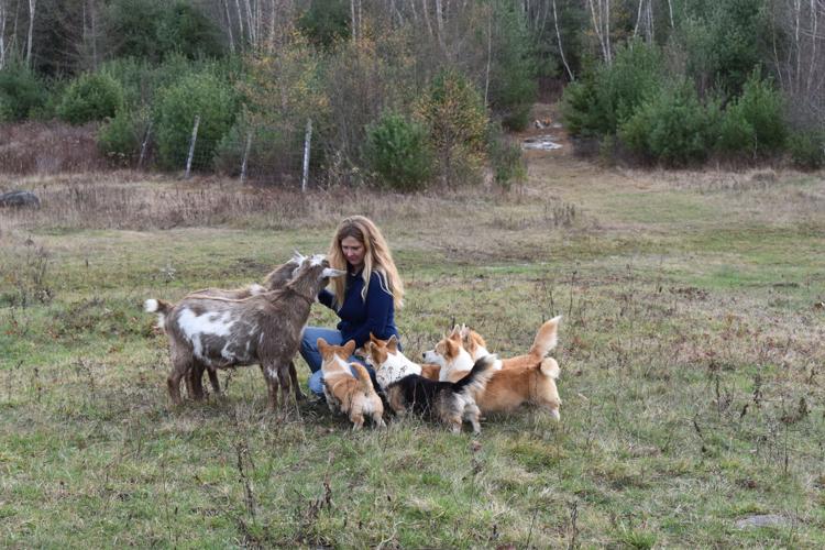 Farm offers ‘Airbnb Experience’ hiking with Corgis | Lifestyle ...