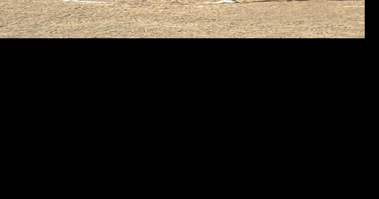 High school softball: Simpson strikes out 10 as Golden Bucks tip ...
