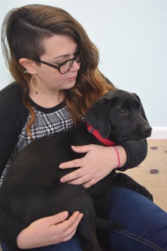 Deciphering your dog’s mind | Arts & Living | ellsworthamerican.com