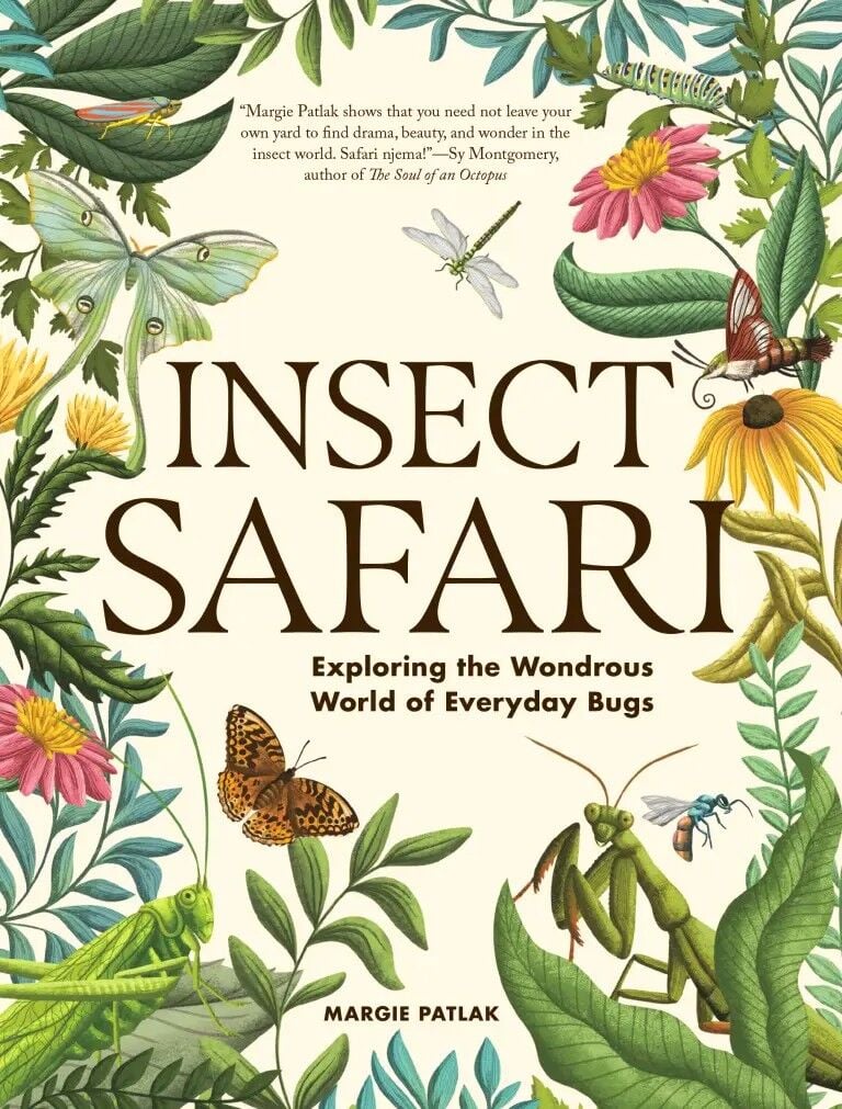 Author talk to explore world of insects | Arts & Living ...