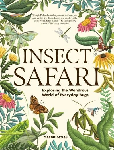 Author talk to explore world of insects | Arts & Living ...