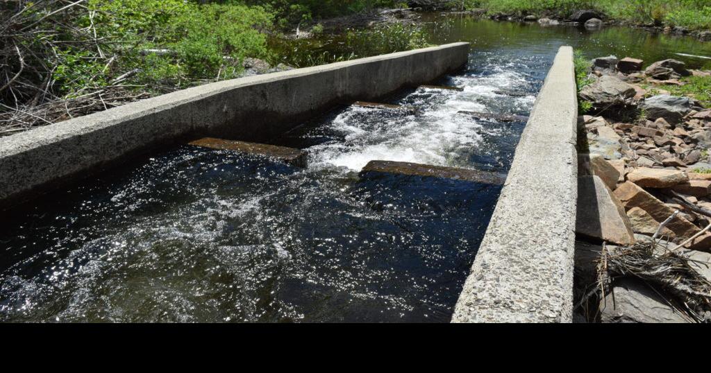 Governor Mills awards $3.7M for sea-run fish habitats | Waterfront ...