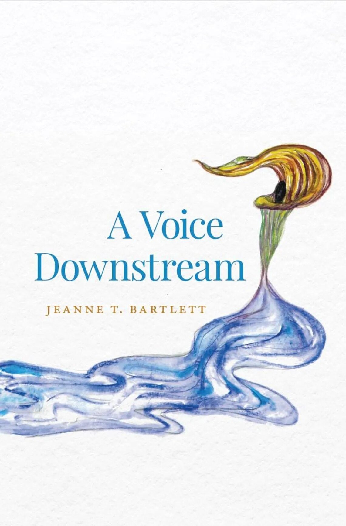 ‘A Voice Downstream’ is author’s life work | Lifestyle ...