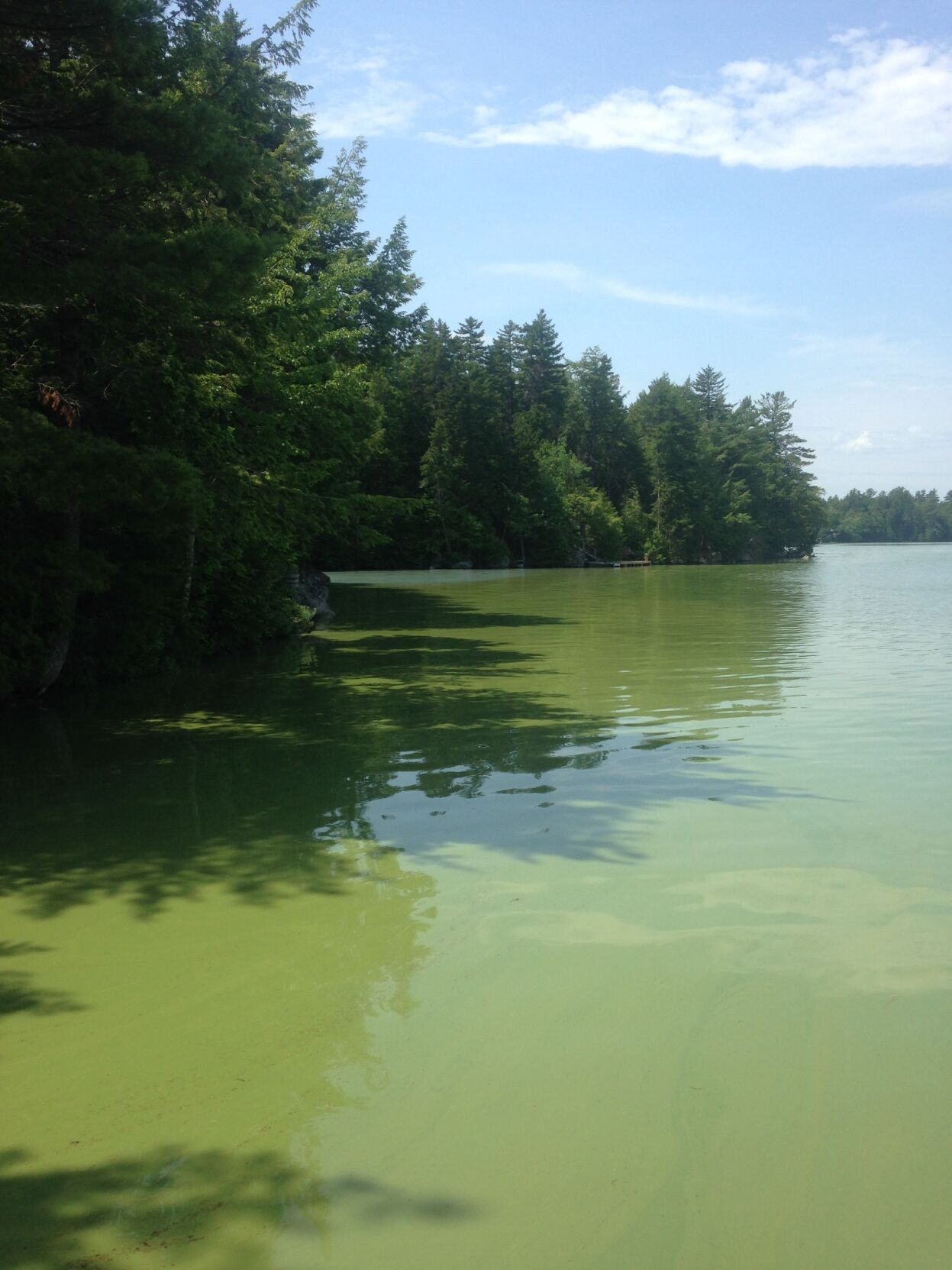 Collaborative cleanup makes clear difference at Georges Pond | News ...