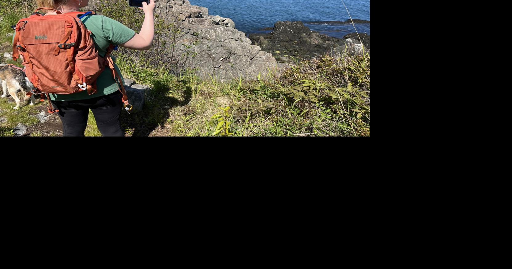 On the rocks: Bog Brook Preserve offers an easier way to enjoy the Bold ...