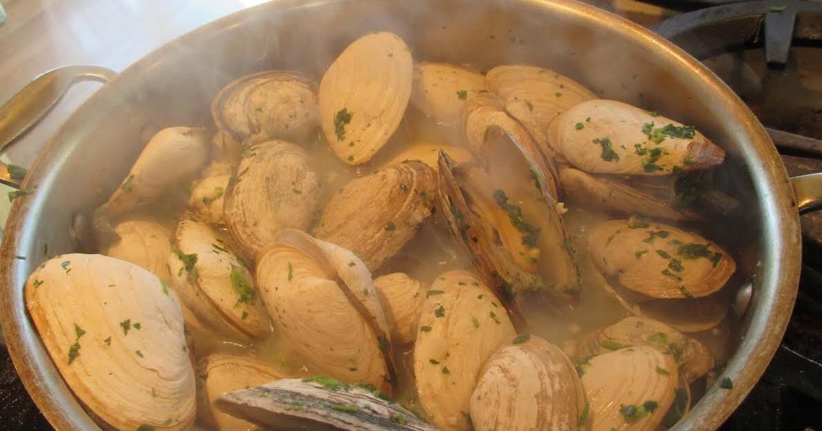 Get your “clam eyes” on | Archives | ellsworthamerican.com