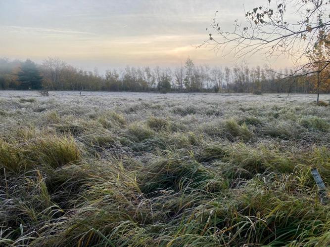 The legendary Hinckley buck | Lifestyle | ellsworthamerican.com