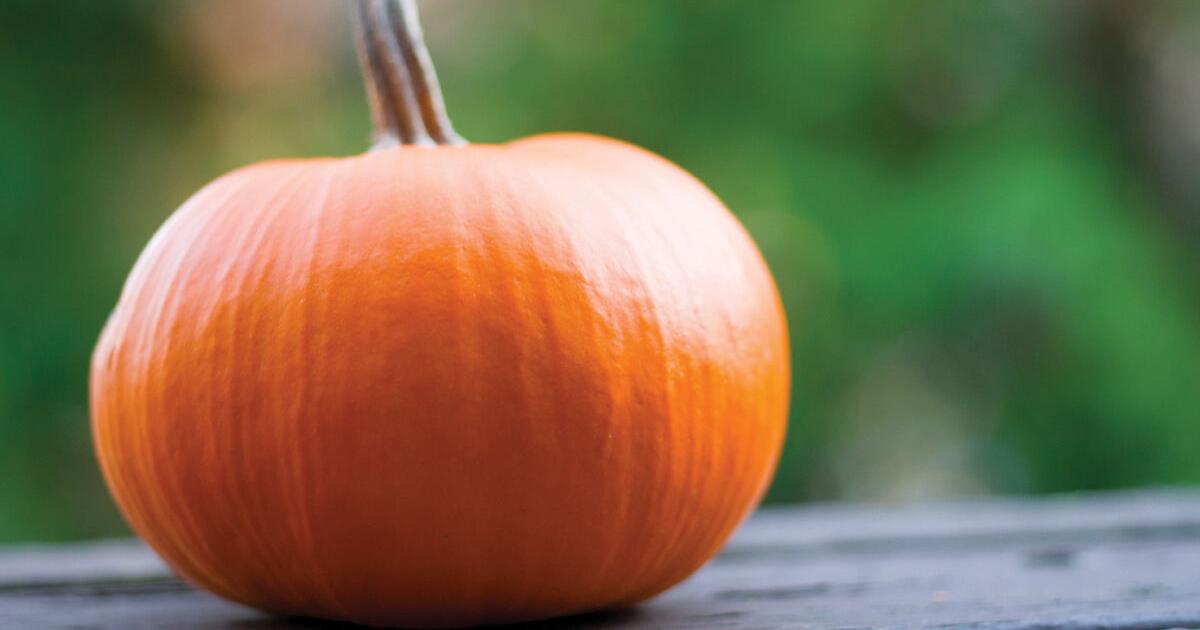 Ten alternatives to Halloween candy | Arts & Living | ellsworthamerican.com