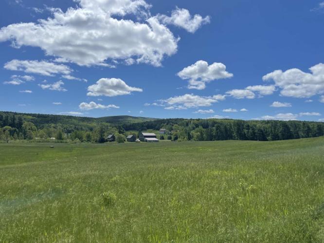 Take a hike: Stone Barn Farm trails offer relaxing walks through ...