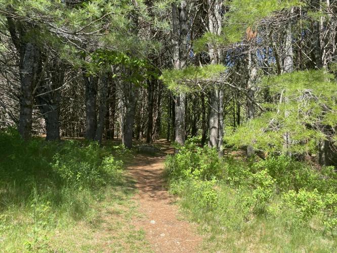 Take a hike: Stone Barn Farm trails offer relaxing walks through ...