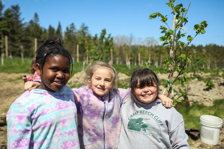 Students plant trees for city's greener future | Education ...