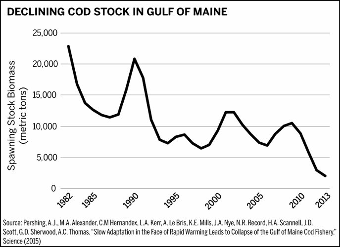 Study blames Gulf of Maine cod decline on overheated waters ...