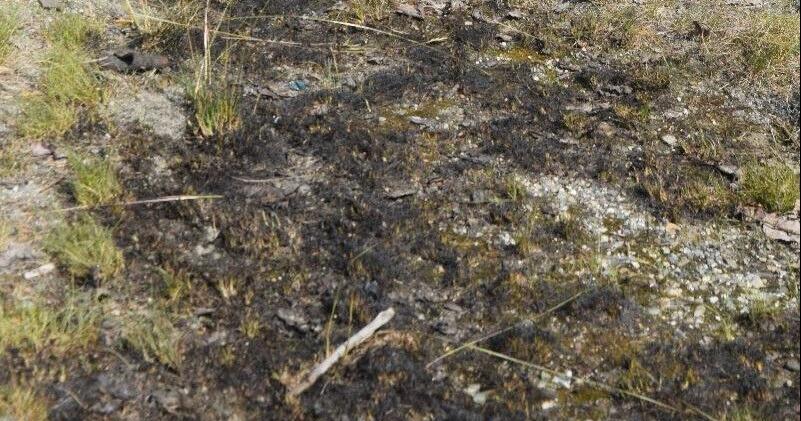 Wildfire prevention work continues on Blue Hill Peninsula | News ...