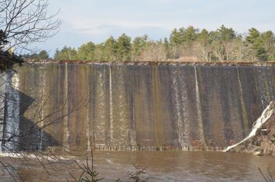 Feds find no violations in dam’s 2020 fish kill | Environment ...