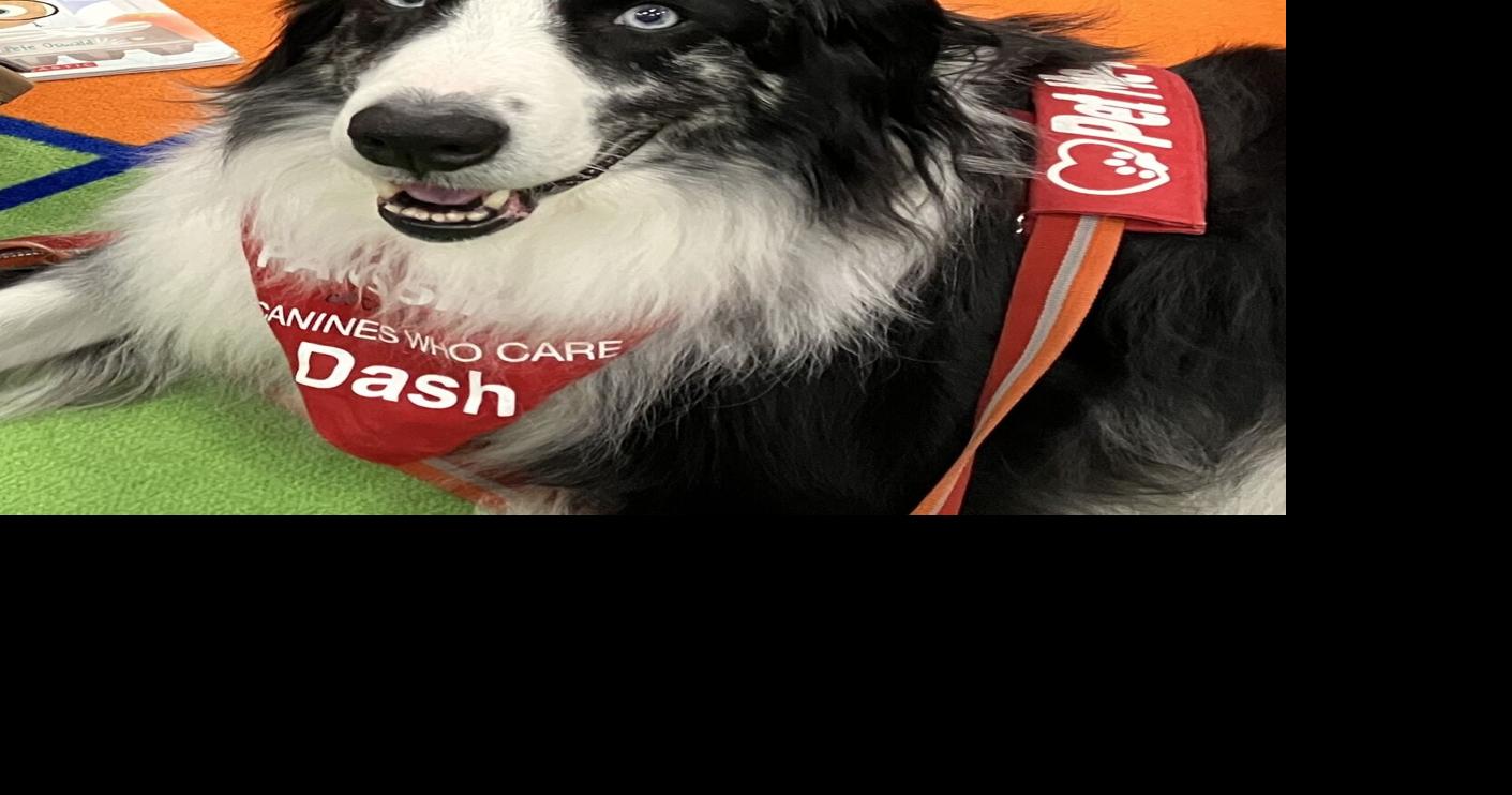 Read to therapy dog | Announcements | ellsworthamerican.com