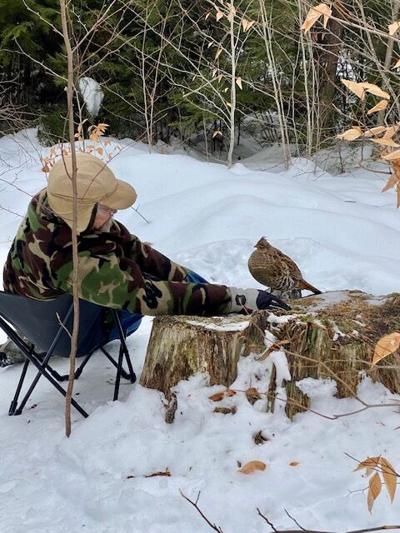 The gregarious grouse | Outdoors in Maine | ellsworthamerican.com
