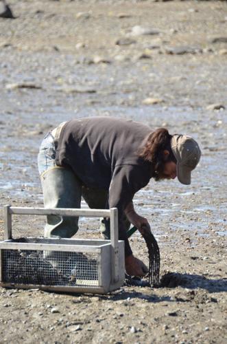 Harvesters at high risk for injury, but avoid care | Waterfront ...