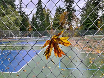 Autumn Gold Pickleball Tournament set for Sept. 27 | Sports ...