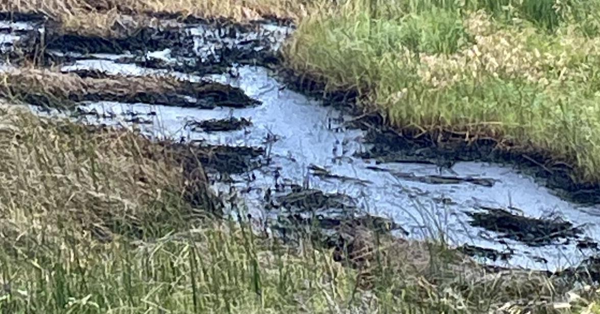 Cleanup continues on crude sludge spill | News | enidnews.com