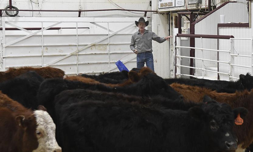 Woodward cattleman helps others in need | Progress | enidnews.com