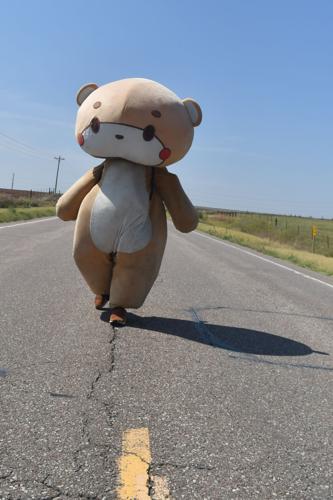 teddy bear walk