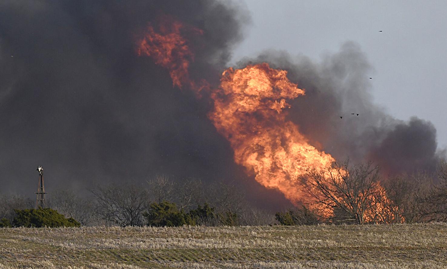 Lawmakers, conservationists work to eradicate invasive tree species in ...