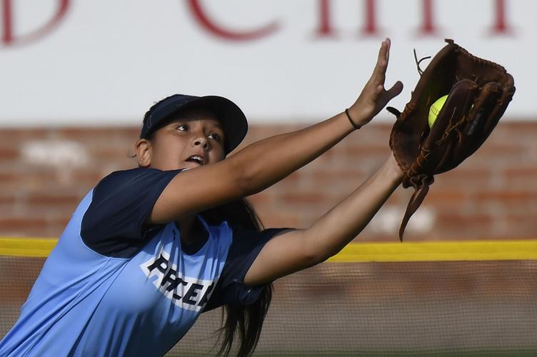 2020 VISION: David Allen Memorial Ballpark a rallying point for ...