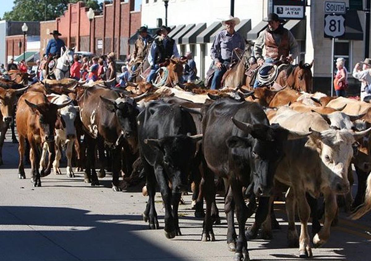 Cattle drive to celebrate Chisholm Trail, famous border town | News ...