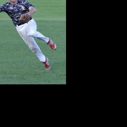 Majors infielder Blake Shepard dies following crash | Local Sports ...