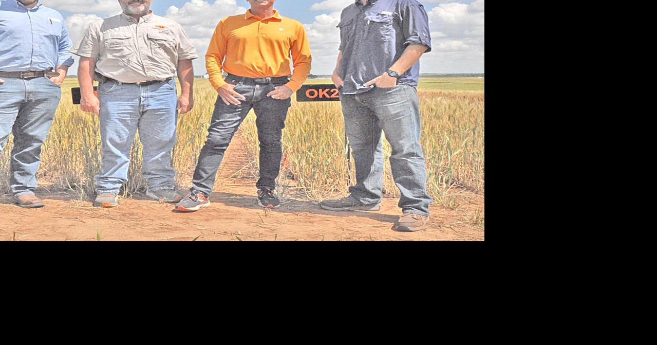Wheat genetic advances bring new options for growers | News | enidnews.com