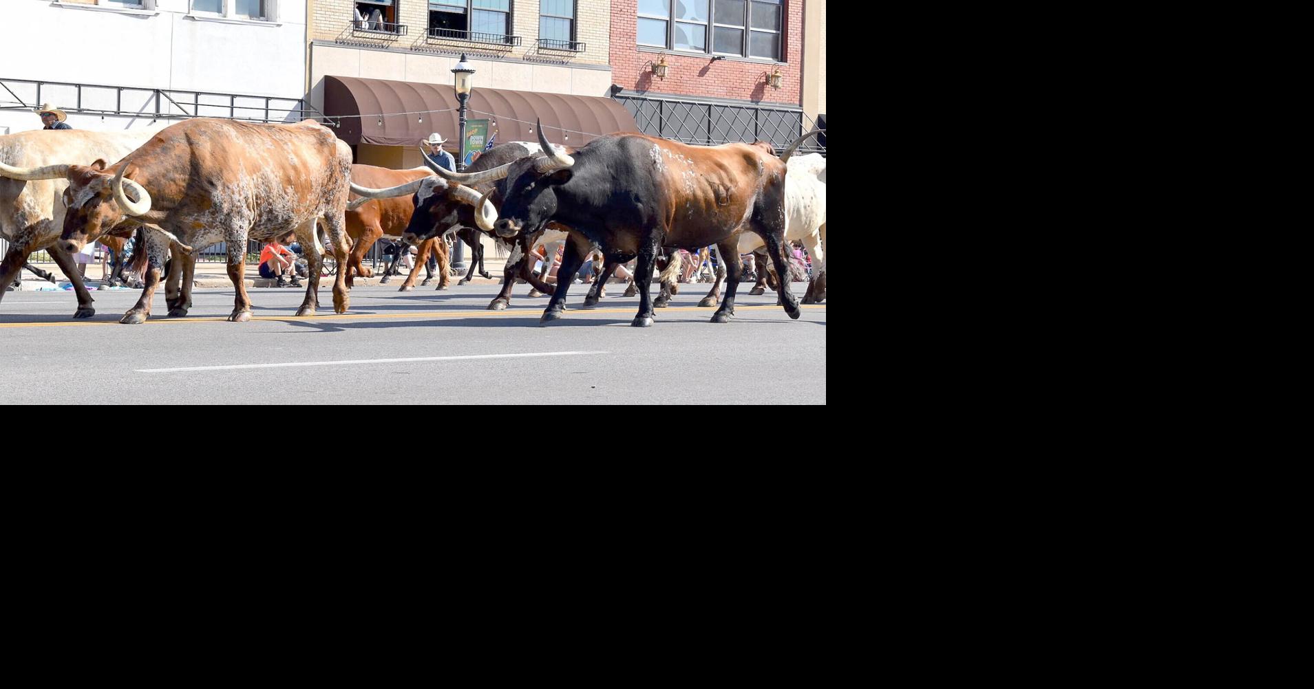 Cherokee Strip Celebration honors Enid history | News | enidnews.com