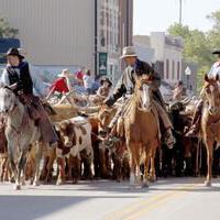Cattle drive to celebrate Chisholm Trail, famous border town | News ...