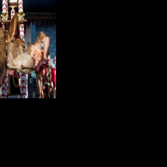 Deformed mutt is crowned World’s Ugliest Dog | News | enidnews.com