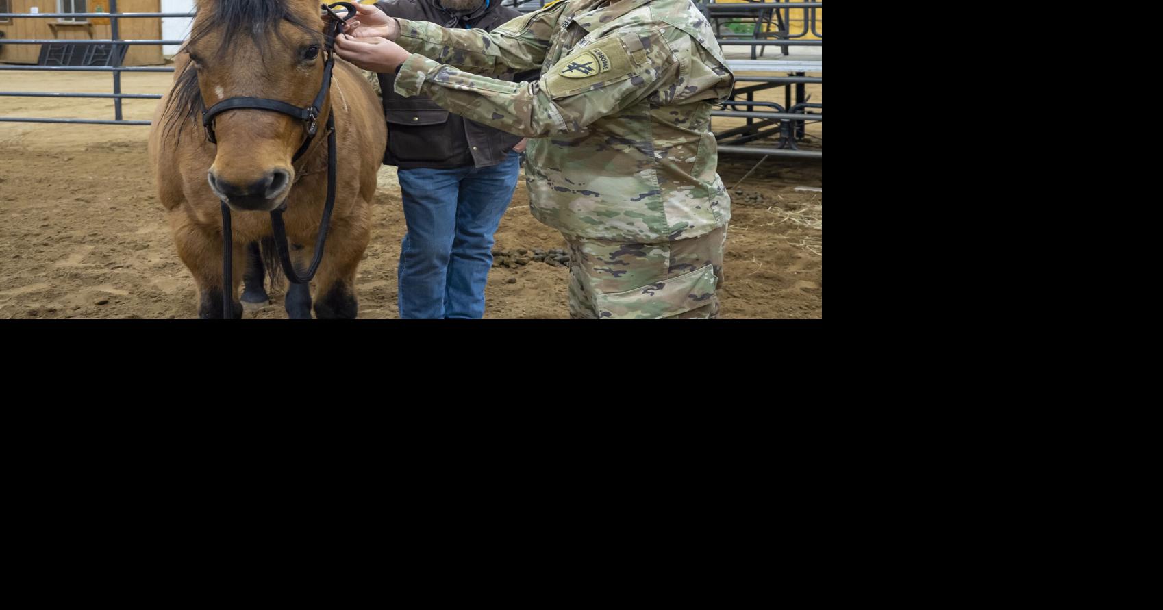 Extension hosts emergency livestock training for Army reservists | Ag ...