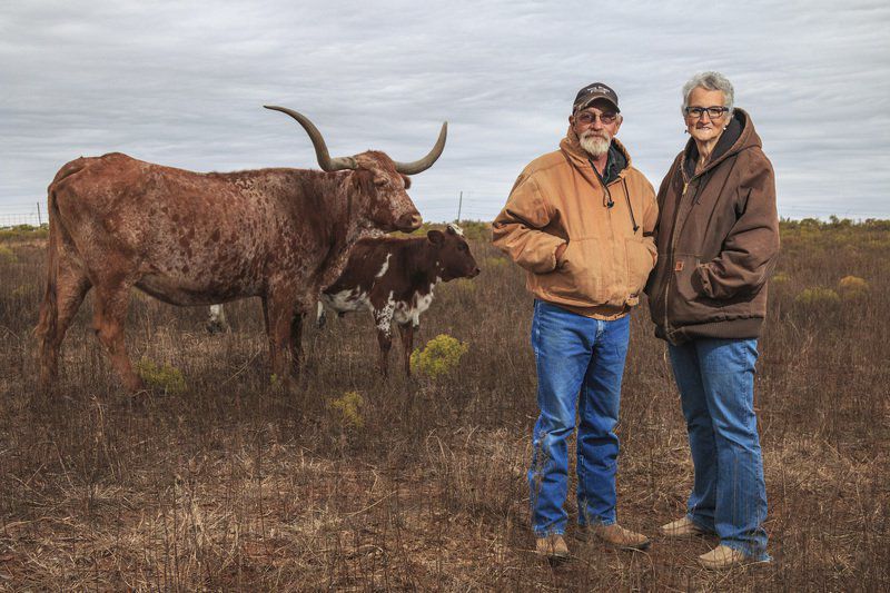 Alfalfa County family receives OKFB award | Ag / Energy | enidnews.com