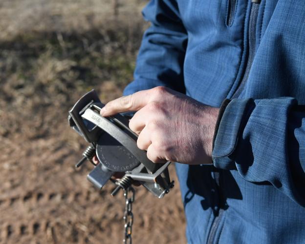 Local man traps coyotes to help area farmers, ranchers | Lifestyles ...