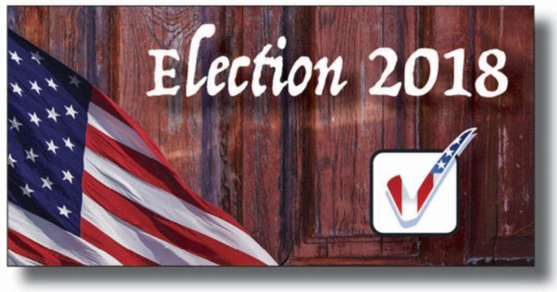 Runoff primary election rundown of candidates | SAMPLE BALLOTS | Local ...