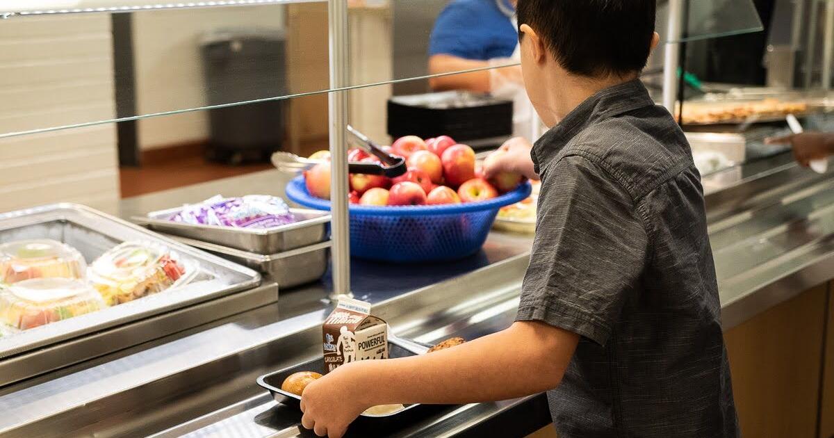 Families face issues as free school lunch program ends | State ...
