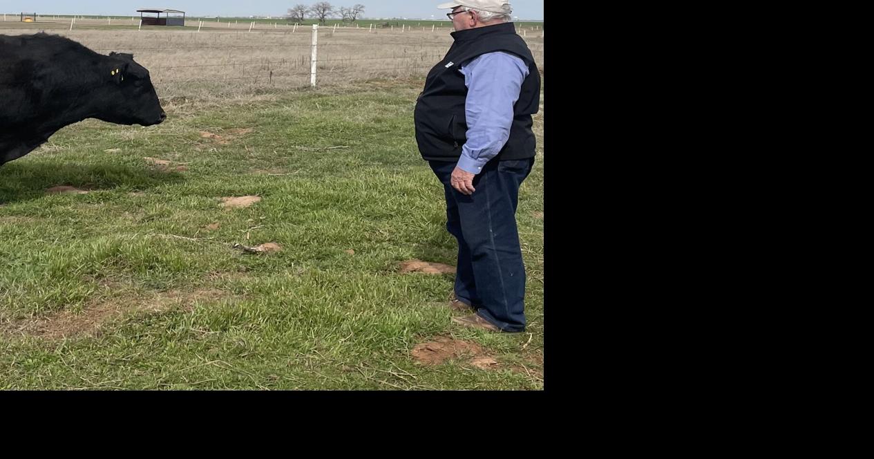 Leading Angus association keeps Pollard busy | Ag / Energy | enidnews.com