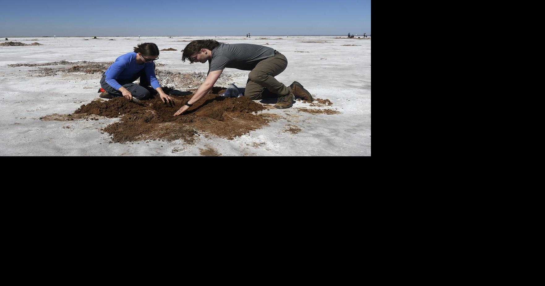 Crystal Digging | | enidnews.com