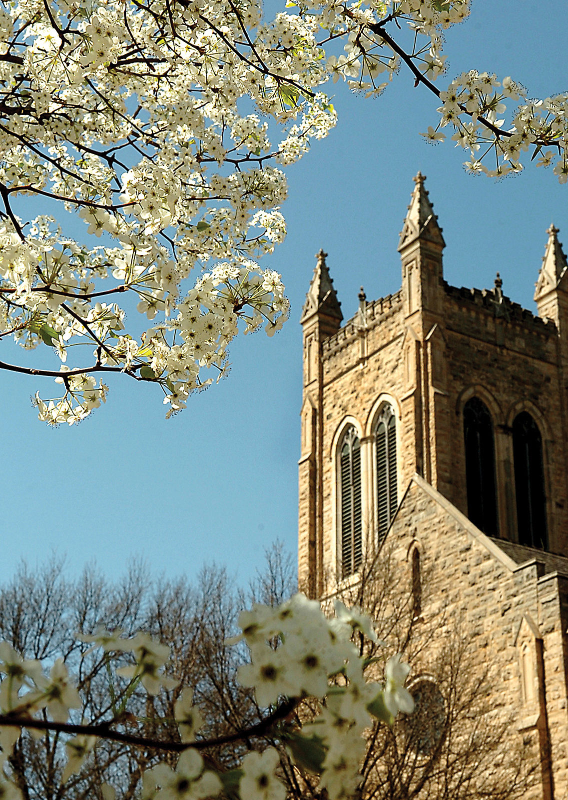 NOC Enid ready to show off completed projects in the fall | News ...