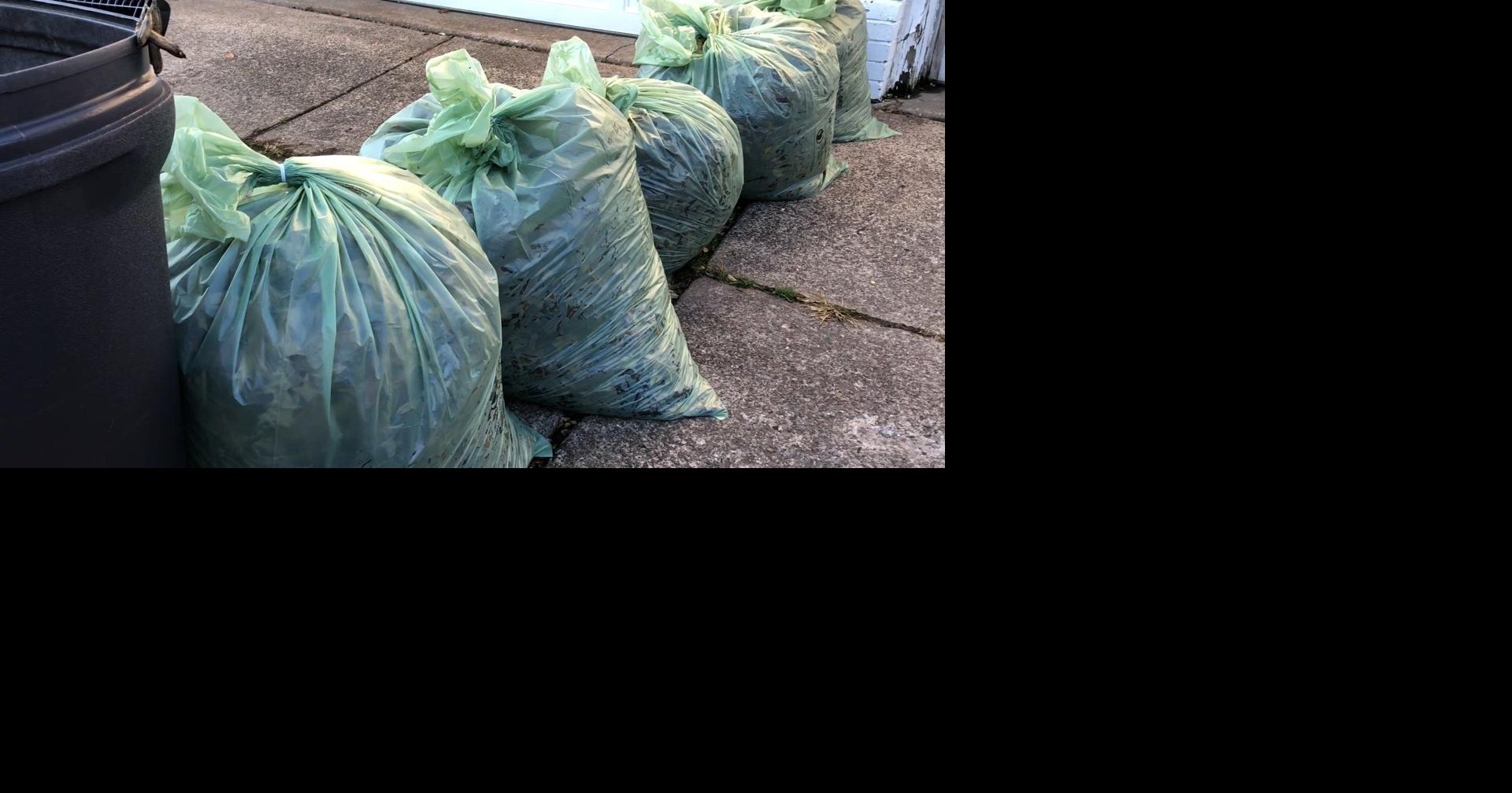 Leaf Collection Rules to Ensure Efficient Waste Disposal | News ...